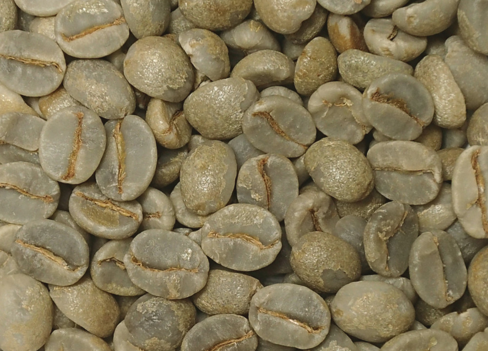 ブラジル トミオフクダ ブルボン ナチュラル